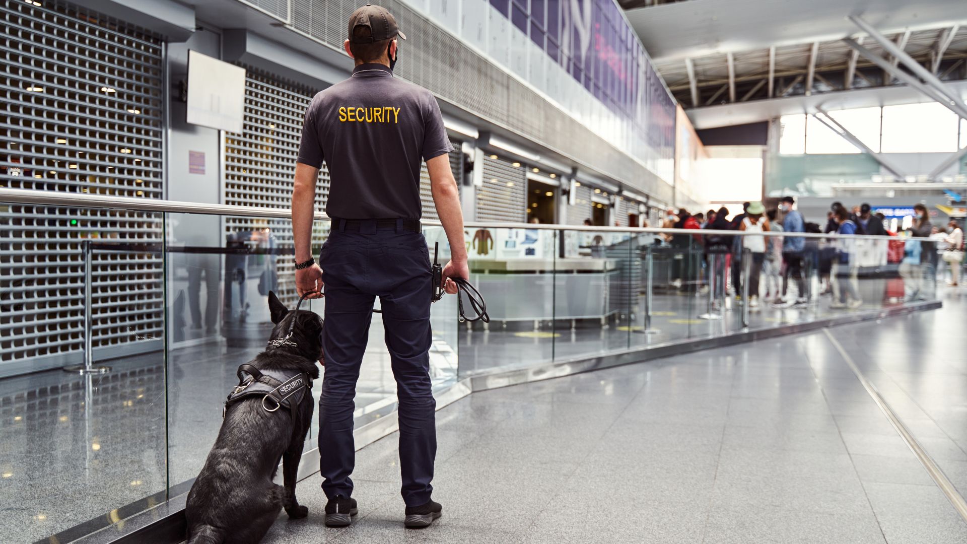 Personal Safety for Security Officers - Get Licensed Blog